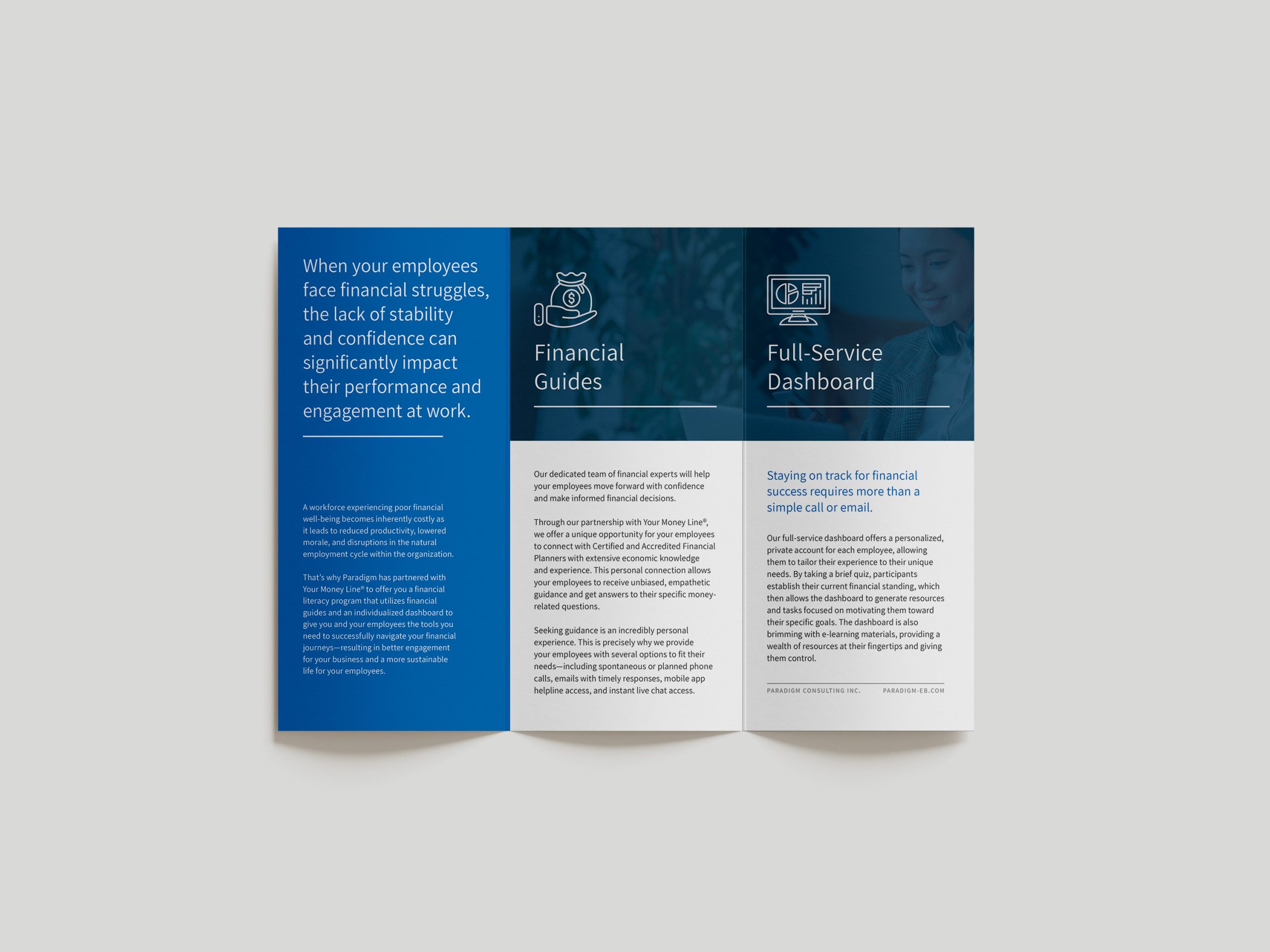 Client Portfolio | Paradigm Consulting | Treefrog Marketing